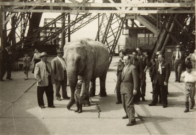 Eiffel Tower Elephant Photo - The Andy Warhol Museum
